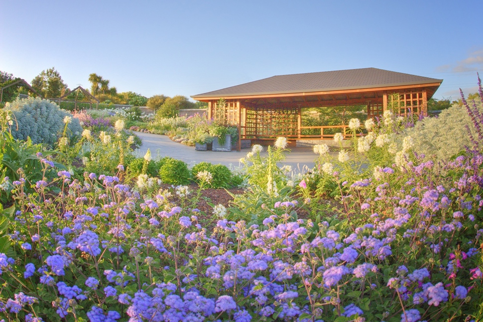 Venues at the Gardens | Auckland Botanic Gardens Venues at the Gardens | Auckland Botanic Gardens