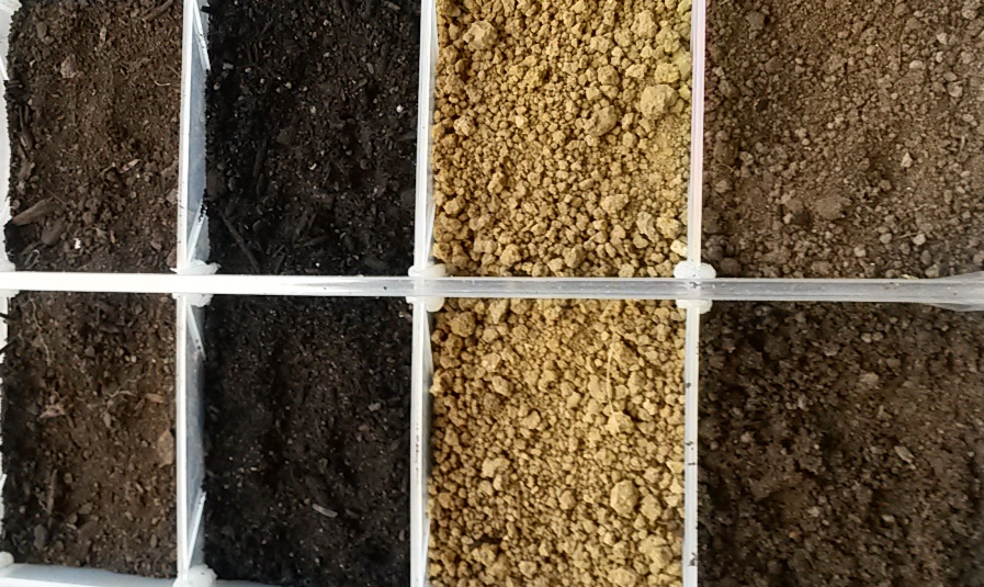 Learn about soil health | Auckland Botanic Gardens