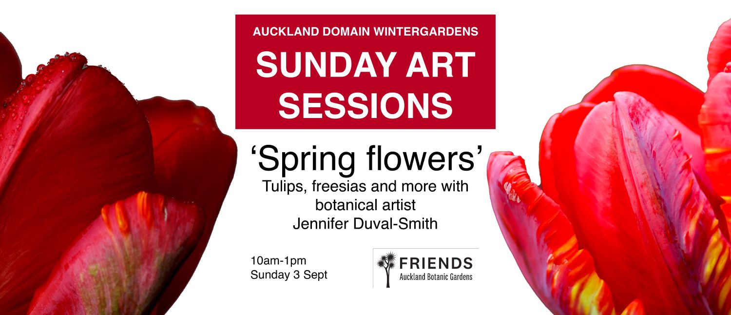 Auckland Domain Wintergardens Sunday Arts session - Spring Flowers ...